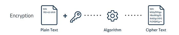 How Can Journalists Protect Their Confidential Data? - PureVPN Blog