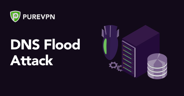What is a DNS Flood Attack & How it Works?