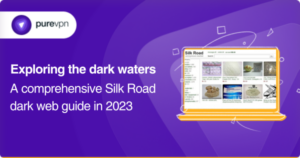 A comprehensive guide to the Silk Road dark web | PureVPN