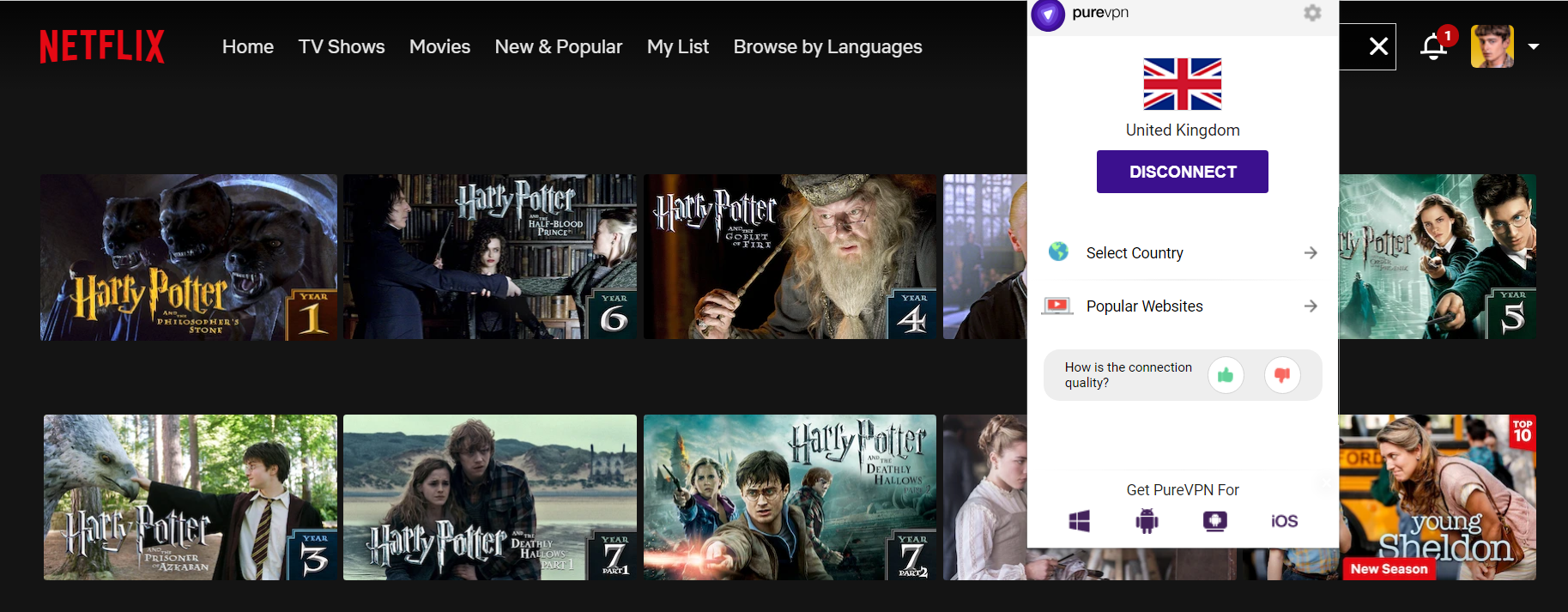How to watch Harry Potter on Netflix in the US for Free [Easy Steps]