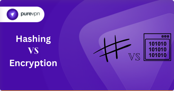 Hashing vs Encryption: How to Protect Data With Cryptography