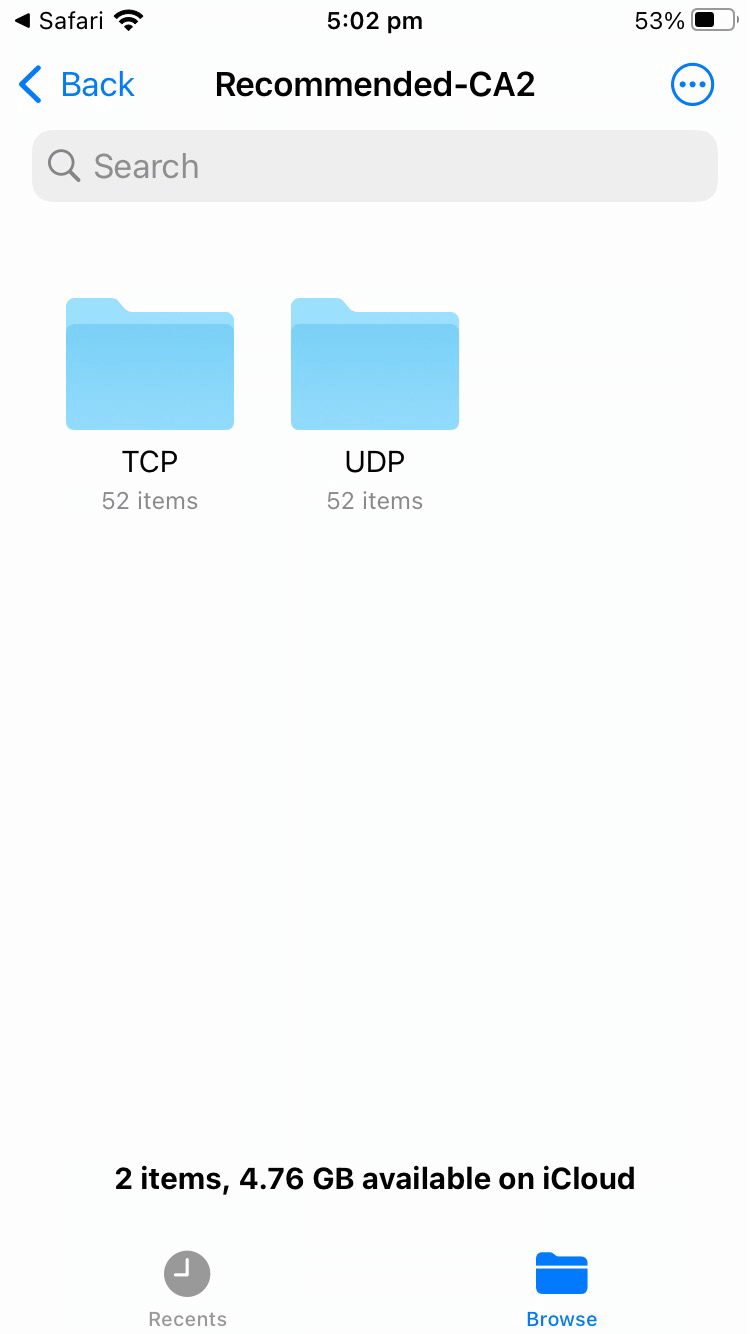 How to Set Up OpenVPN on iPhone/iPad in 2025