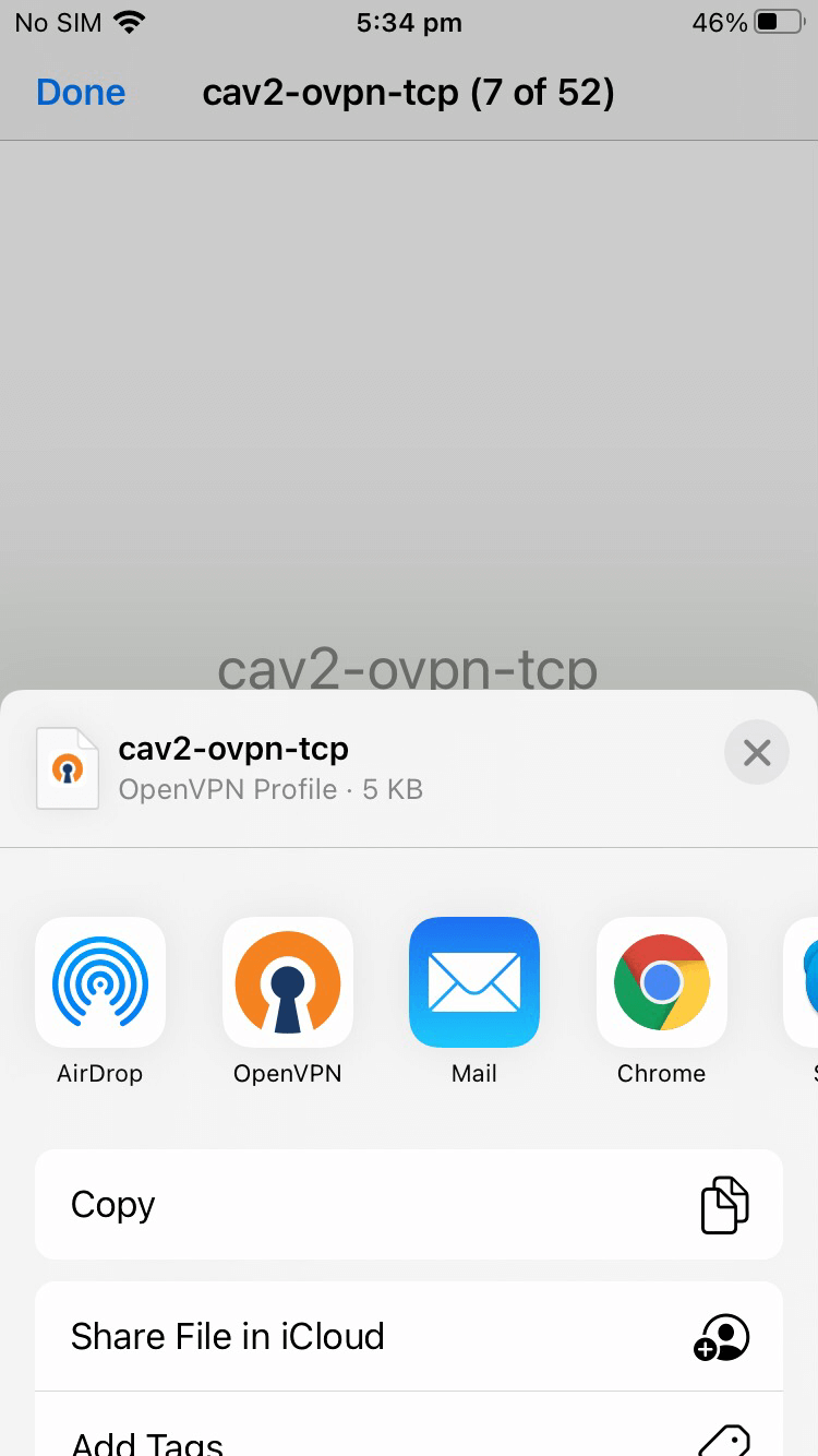 How to Set Up OpenVPN on iPhone/iPad in 2025
