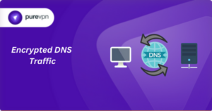 Encrypted DNS Traffic - All You Need To Know About