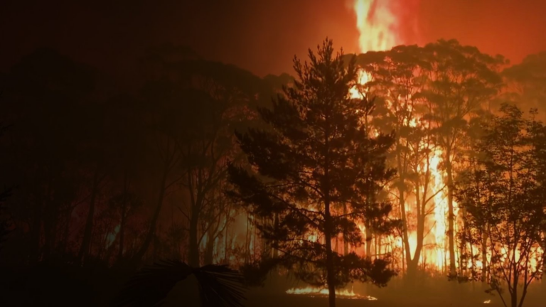 How to watch Decoding Danger: Season 1 in the UK