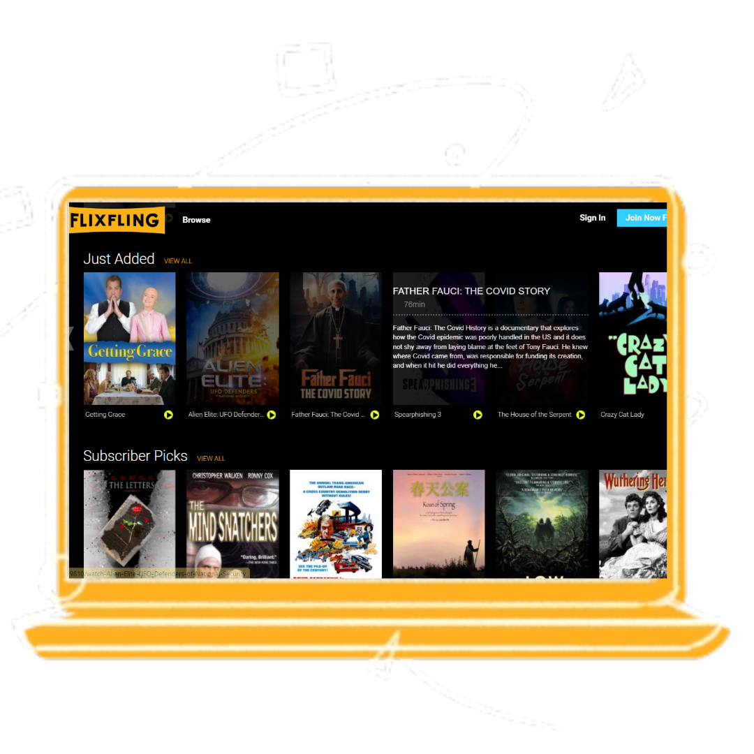 How to Watch FlixFling Outside the US - PureVPN