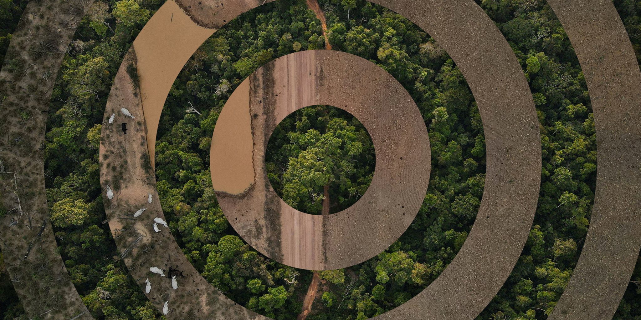 How to Watch Brazil: The Great Land Grab in Australia - PureVPN Blog