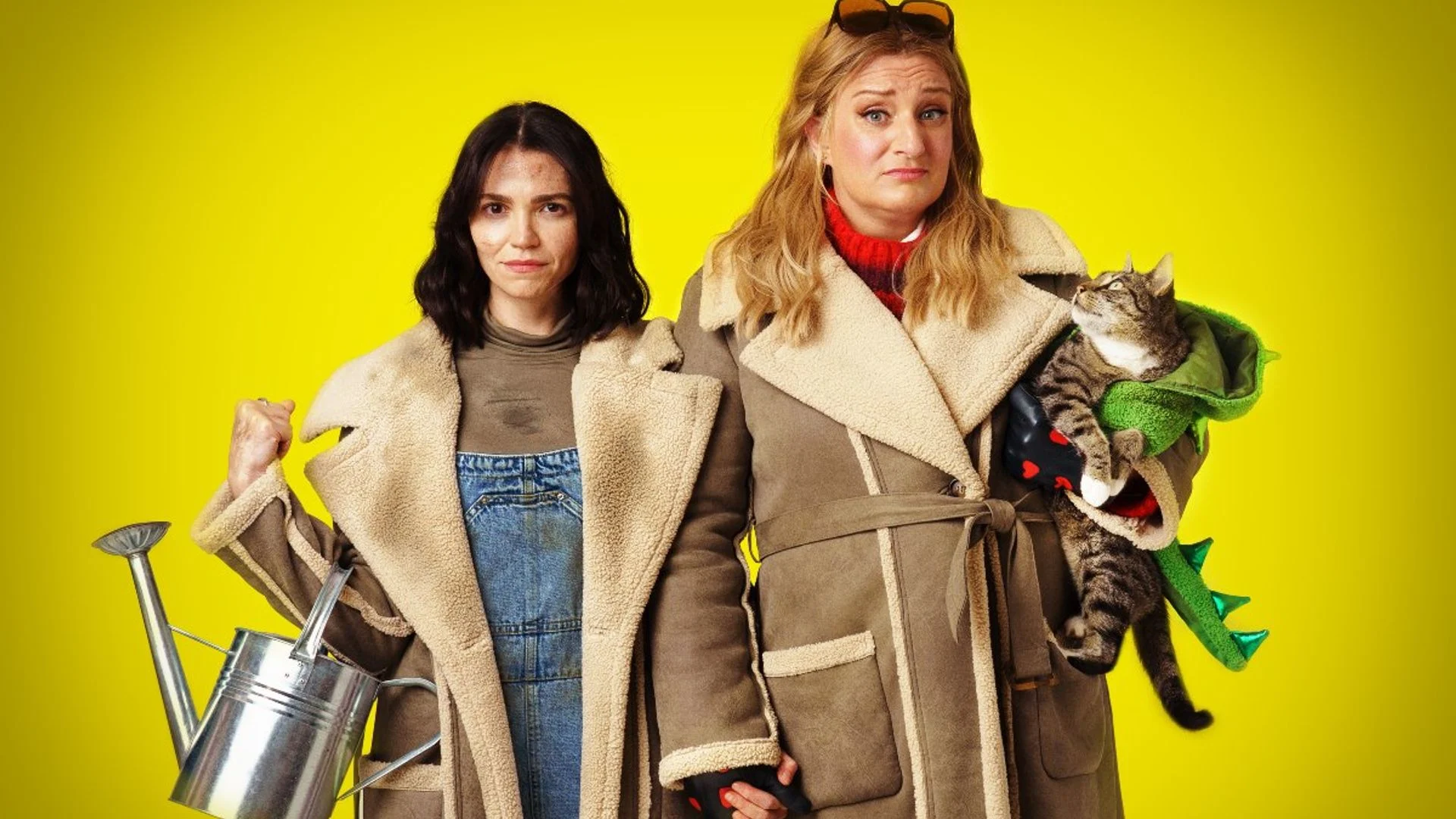 How to Watch Am I Being Unreasonable? Season 2 in the US on BBC iPlayer ...