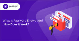 What Is Password Encryption & How Does It Work?