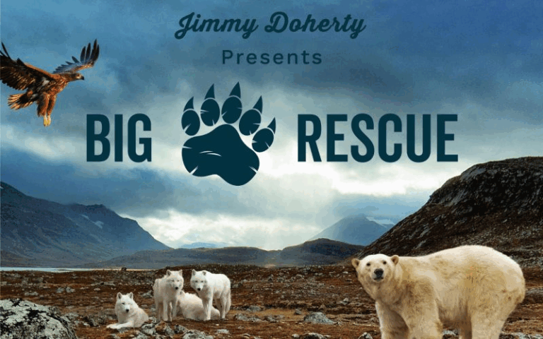 Watch Jimmy Doherty's Big Bear Rescue in the US on Channel 4